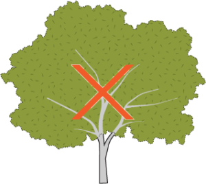 Landscape-New - Sustainable Defensible Space - fire-wise landscaping ...