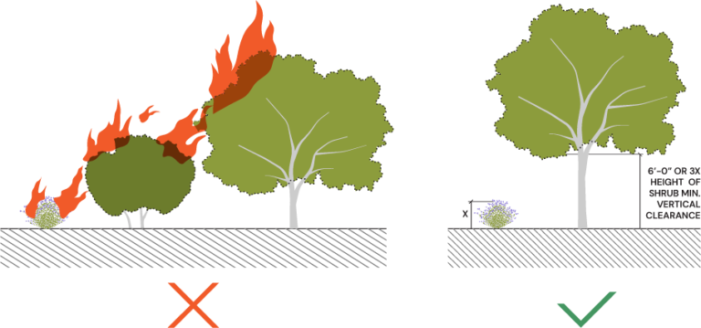 Landscape-New - Sustainable Defensible Space - fire-wise landscaping ...
