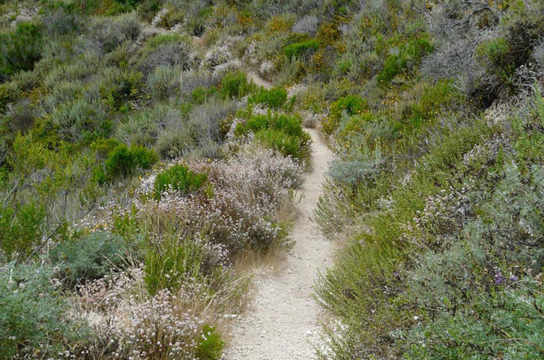 Landscape-New - Sustainable Defensible Space - fire-wise landscaping ...