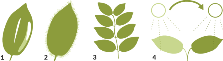 Landscape-New - Sustainable Defensible Space - fire-wise landscaping ...